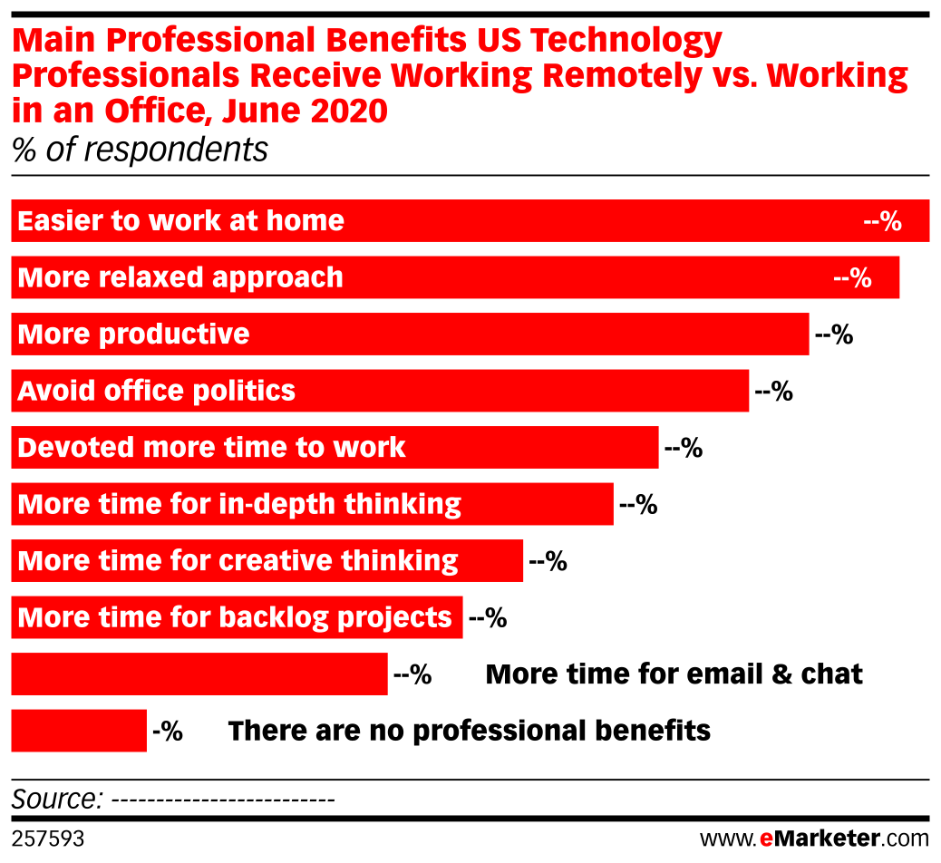 Main Professional Benefits US Technology Professionals Receive Working ...