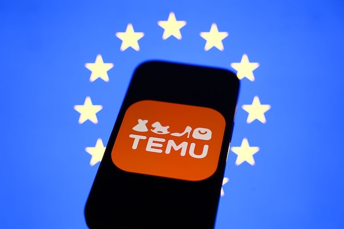 1 in 4 EU residents shopped on Temu this year